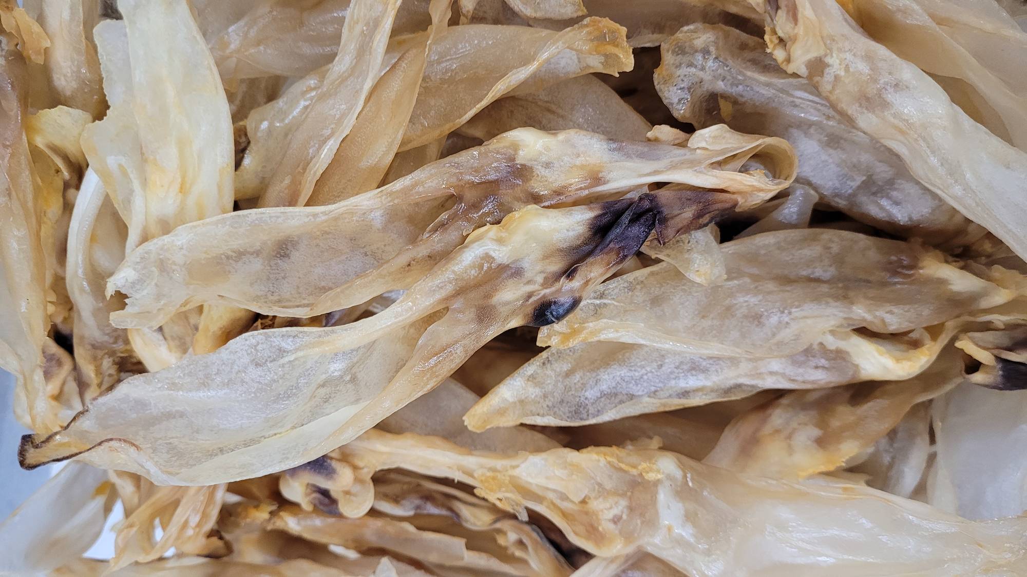 Jäniksen korva koiranherkku - Onnen lemmikit verkkokauppa